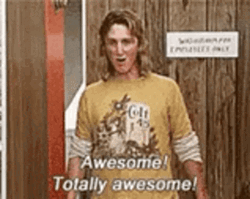 Spicoli 498 X 396 Gif GIF | GIFDB.com