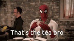 Spider Man Thats The Tea Bro GIF | GIFDB.com