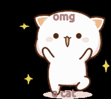 Gif Animado De Gato Omg