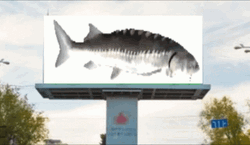Spinning Fish Giant Billboard GIF | GIFDB.com