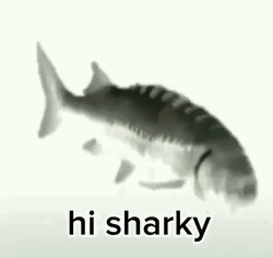 Spinning Fish Hi Sharky Meme GIF | GIFDB.com