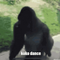 Spinning Gorilla Dancing GIF | GIFDB.com