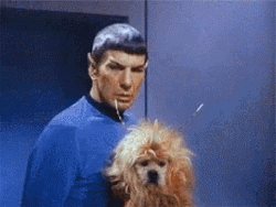 Spock Holding A Dog GIF | GIFDB.com