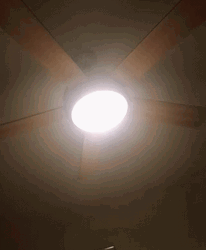 Spotlight Ceiling Fan GIF | GIFDB.com