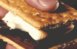 Squishable Delicious Smores GIF | GIFDB.com
