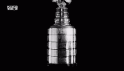 Stanley Cup GIFs | GIFDB.com