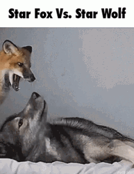 Star Fox Vs Star Wolf GIF | GIFDB.com