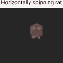Stationary Rat Horizontal Spin GIF | GIFDB.com