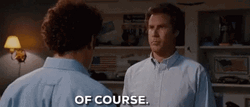 Step Brothers Interview Will Ferrell Of Course GIF | GIFDB.com