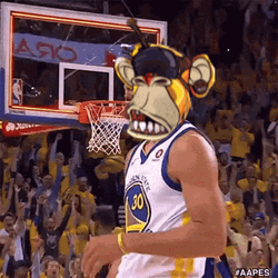Steph Curry Dunk Yes Got It GIF | GIFDB.com