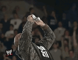 Steve Austin Stone Cold Chugging Beer GIF | GIFDB.com