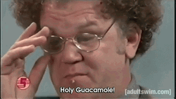 Steve Brule Holy Guacamole GIF | GIFDB.com