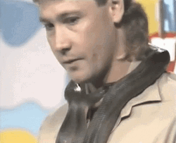 Steve Irwin Getting Bitten By Snake GIF | GIFDB.com