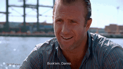 Steve Mc Garret To Danny Williams Book It Danno GIF | GIFDB.com