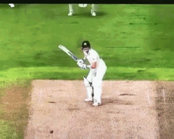 Steve Smith Cricket Batting Missed Out GIF | GIFDB.com