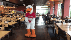 Stevens Institute Duck Mascot Dance GIF | GIFDB.com