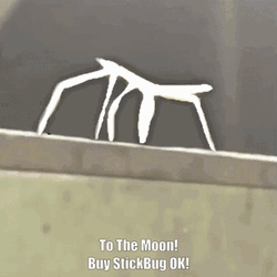 Stick Bug To The Moon GIF | GIFDB.com