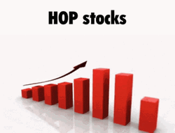 Stocks Invest What You Can Lose Day Trader GIF | GIFDB.com