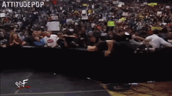 Stone Cold Meddling Wrestling Fight GIF | GIFDB.com