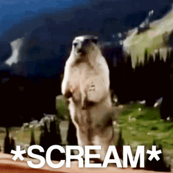 Stressing Screaming Animal GIF | GIFDB.com