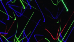 Strobe Light Colorful Abstract Lines GIF | GIFDB.com