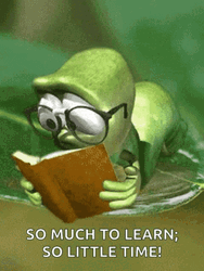 Studying Cramming For Exams GIF | GIFDB.com