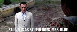 Stupid Is As Stupid Does Mrs. Blue GIF | GIFDB.com