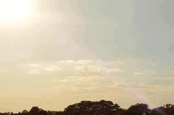 Sunset Horizon GIF | GIFDB.com