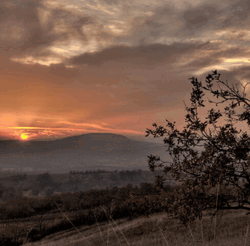 Sunset Horizon GIF | GIFDB.com