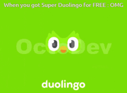 Super Duolingo Meme GIF | GIFDB.com