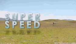 Super Girl Superhero Super Speed GIF | GIFDB.com