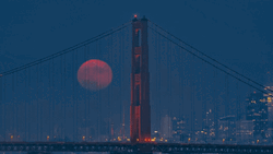 Super Moon Rising Behind Bridge GIF | GIFDB.com