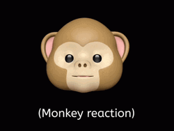 Surprise Monkey Reaction Meme GIF | GIFDB.com