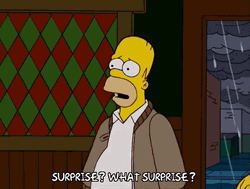 Surprise Surprise Homer Simpson The Simpsons GIF | GIFDB.com