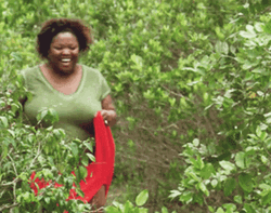 Survivor Tasha Running GIF | GIFDB.com