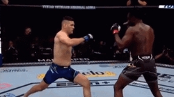 Sweep The Leg Martial Arts Fight GIF | GIFDB.com