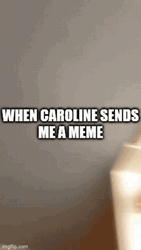 Sweet Caroline Sends Me A Meme GIF | GIFDB.com