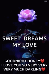 Sweet Dreams My Love Goodnight Honey GIF | GIFDB.com