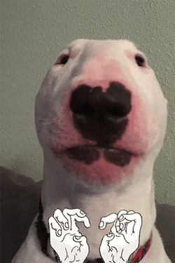 Swollen Dog Meme Fingers Moving GIF | GIFDB.com