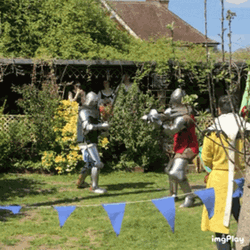 Sword Fight Medieval GIF | GIFDB.com