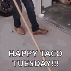 Taco Funny Tuesday Dance GIF | GIFDB.com