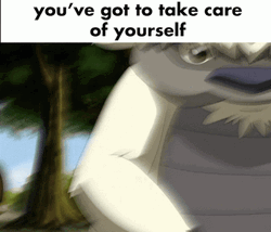 Take Care Appa Avatar: The Last Airbender GIF | GIFDB.com