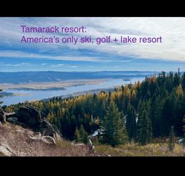 Tamarack Resort Meme GIF | GIFDB.com