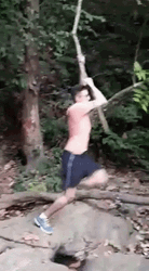 Tarzan Parody Man Vine Swing GIF | GIFDB.com