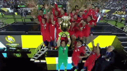 Team Winning Trophy Celebration GIF | GIFDB.com