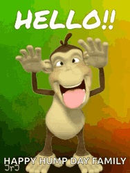 Teasing Monkey Happy Hump Day Meme GIF | GIFDB.com