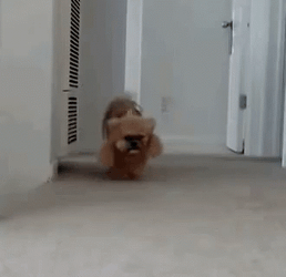 Ted Running Towards Door GIF | GIFDB.com