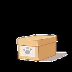 Animierte Box Gifs Animiertes Bannerdesign (gif) Für Unseren