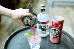 Prickly Pear Tequila GIF | GIFDB.com