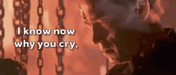 Terminator 2 Ending I Know Why You Cry GIF | GIFDB.com